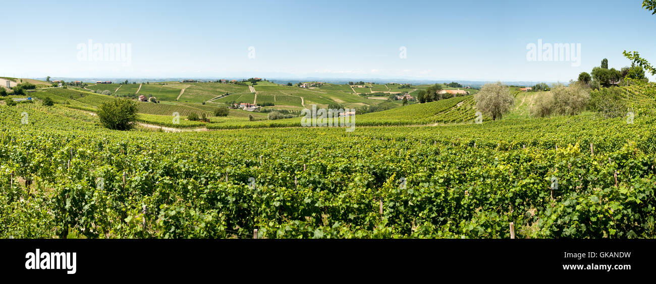 agriculture farming summer Stock Photo - Alamy