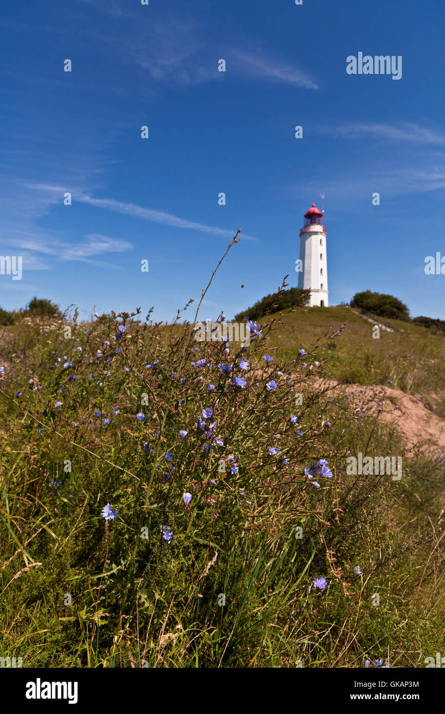 Hiddensee hiddensee hi-res stock photography and images - Alamy