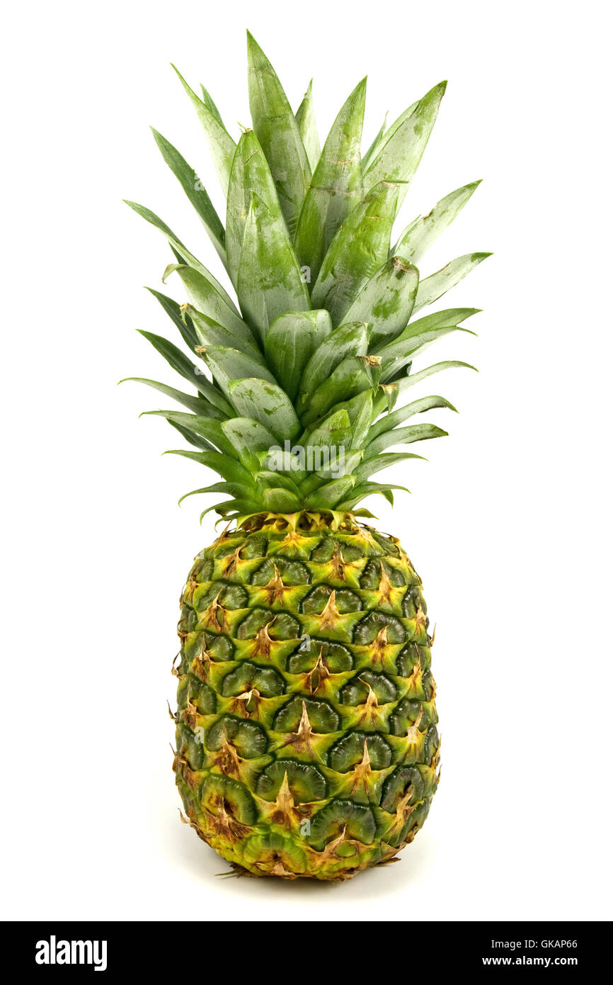 Aliment hi-res stock photography and images - Alamy