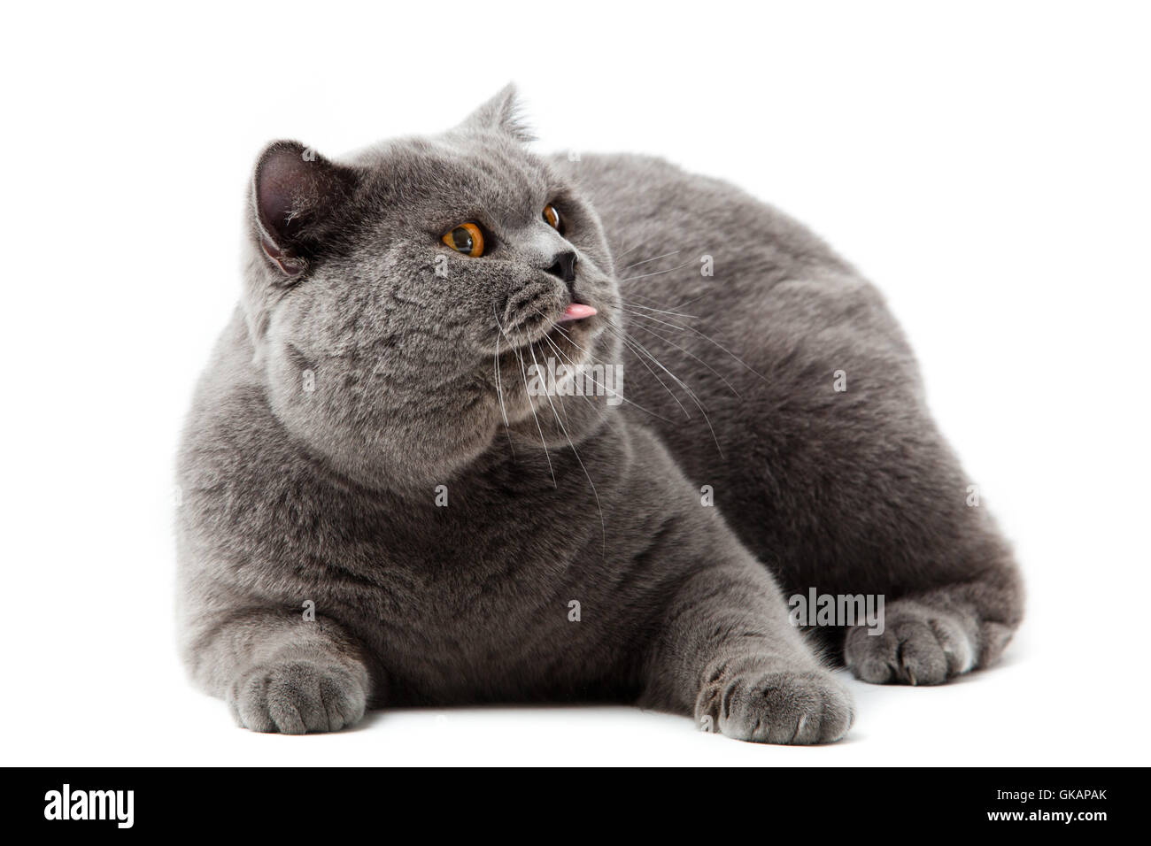 beautiful beauteously nice Stock Photo - Alamy