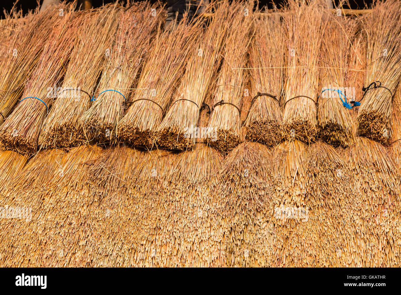 Thatching grass hi-res stock photography and images - Alamy