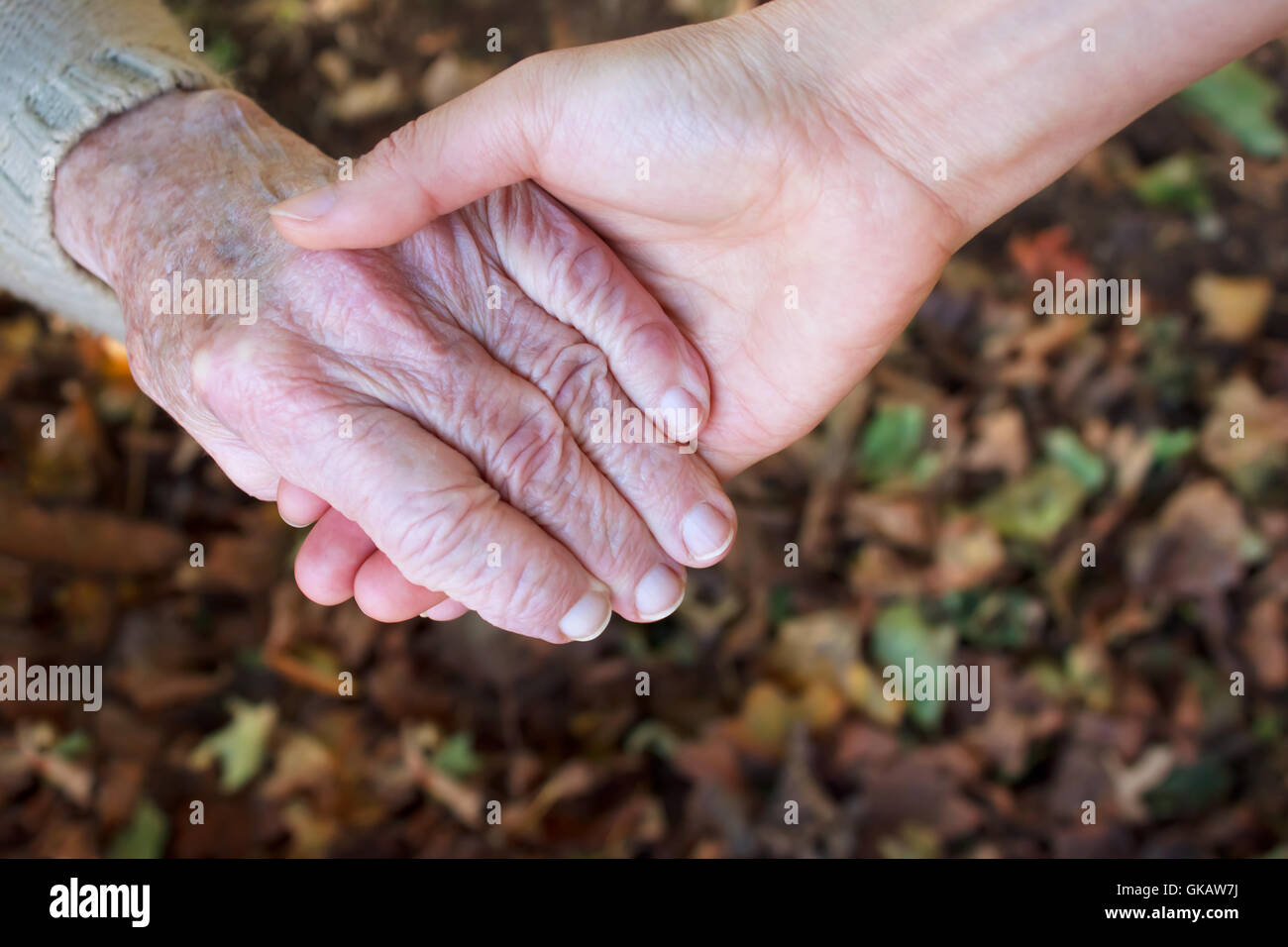woman women hand Stock Photo - Alamy