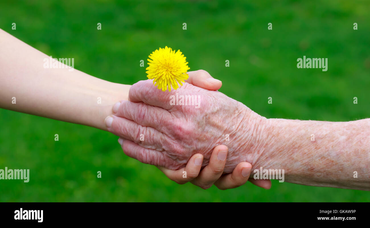 woman women hand Stock Photo - Alamy