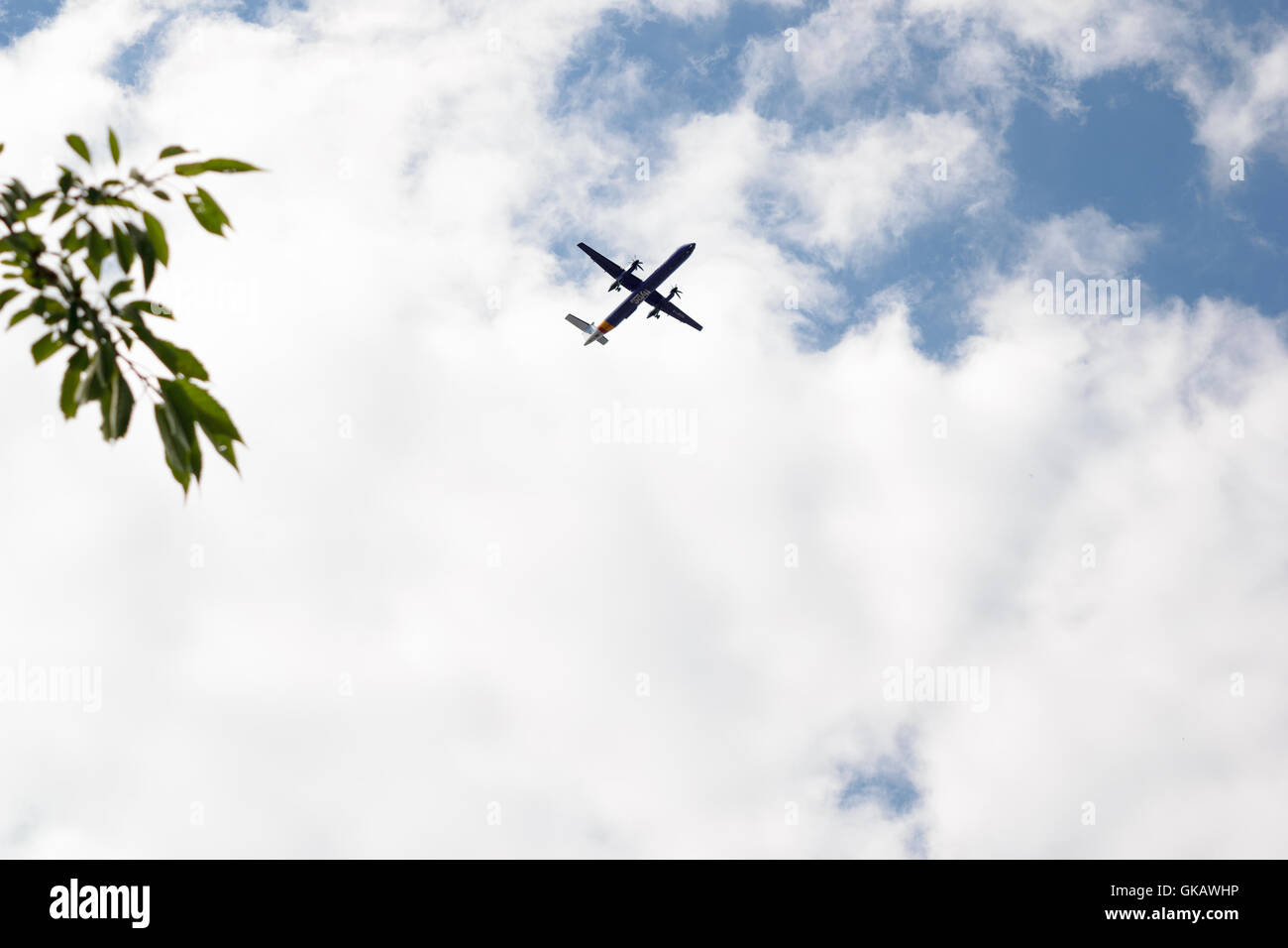 White flybe background hi-res stock photography and images - Alamy