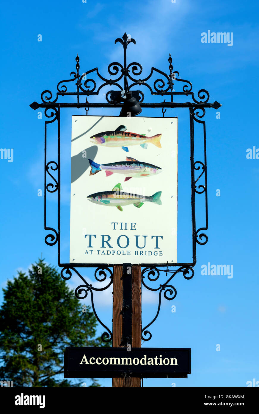 The Trout pub sign, Tadpole Bridge, Oxfordshire, England, UK Stock ...