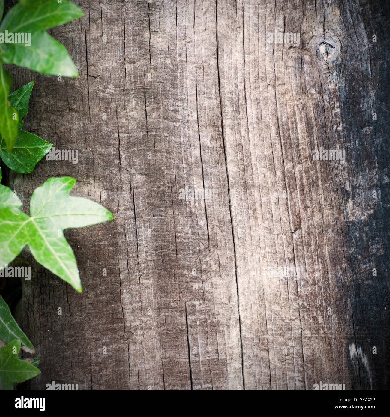 Marketing environment hi-res stock photography and images - Alamy