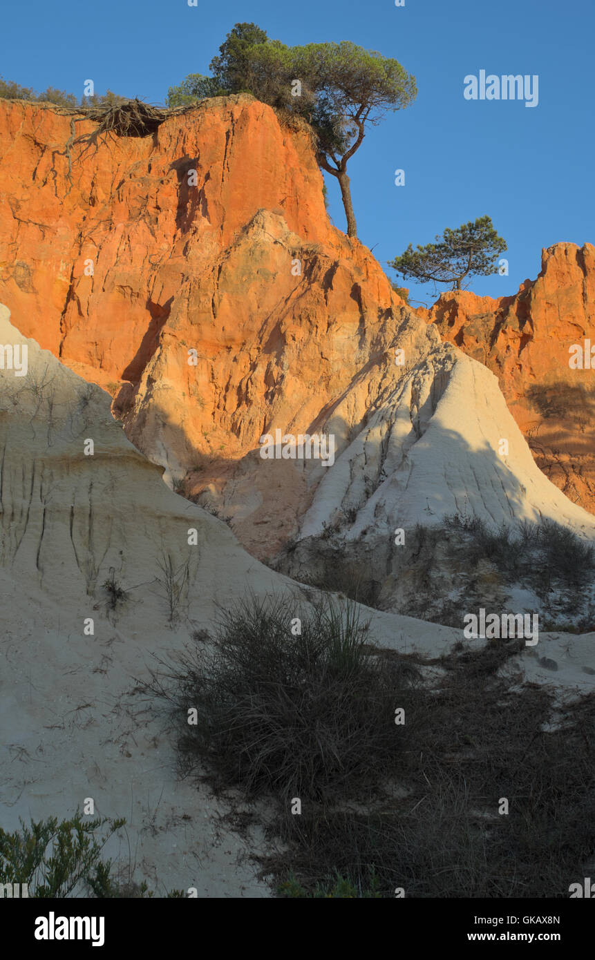 Pine Cliffs Sheraton - The Luxury Collection Hotel. in Albufeira ...