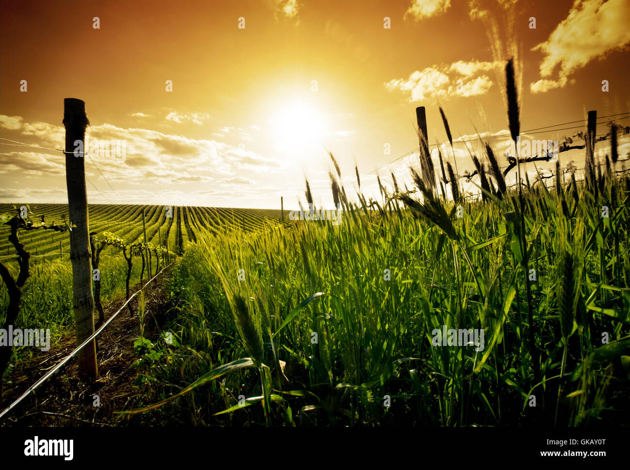 travel sunset tourism Stock Photo - Alamy