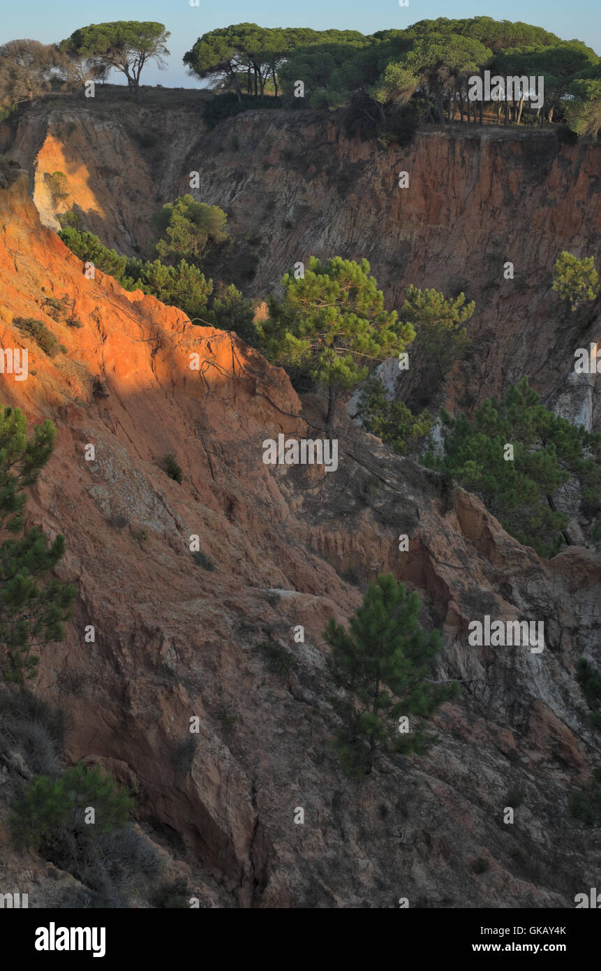 Pine Cliffs Sheraton - The Luxury Collection Hotel. in Albufeira ...