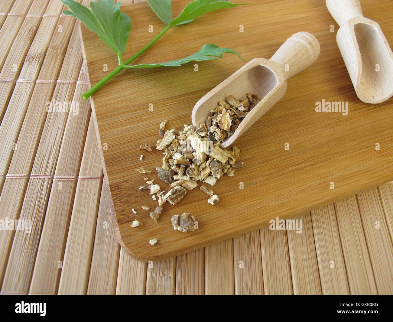 lovage root,radix levistici Stock Photo - Alamy