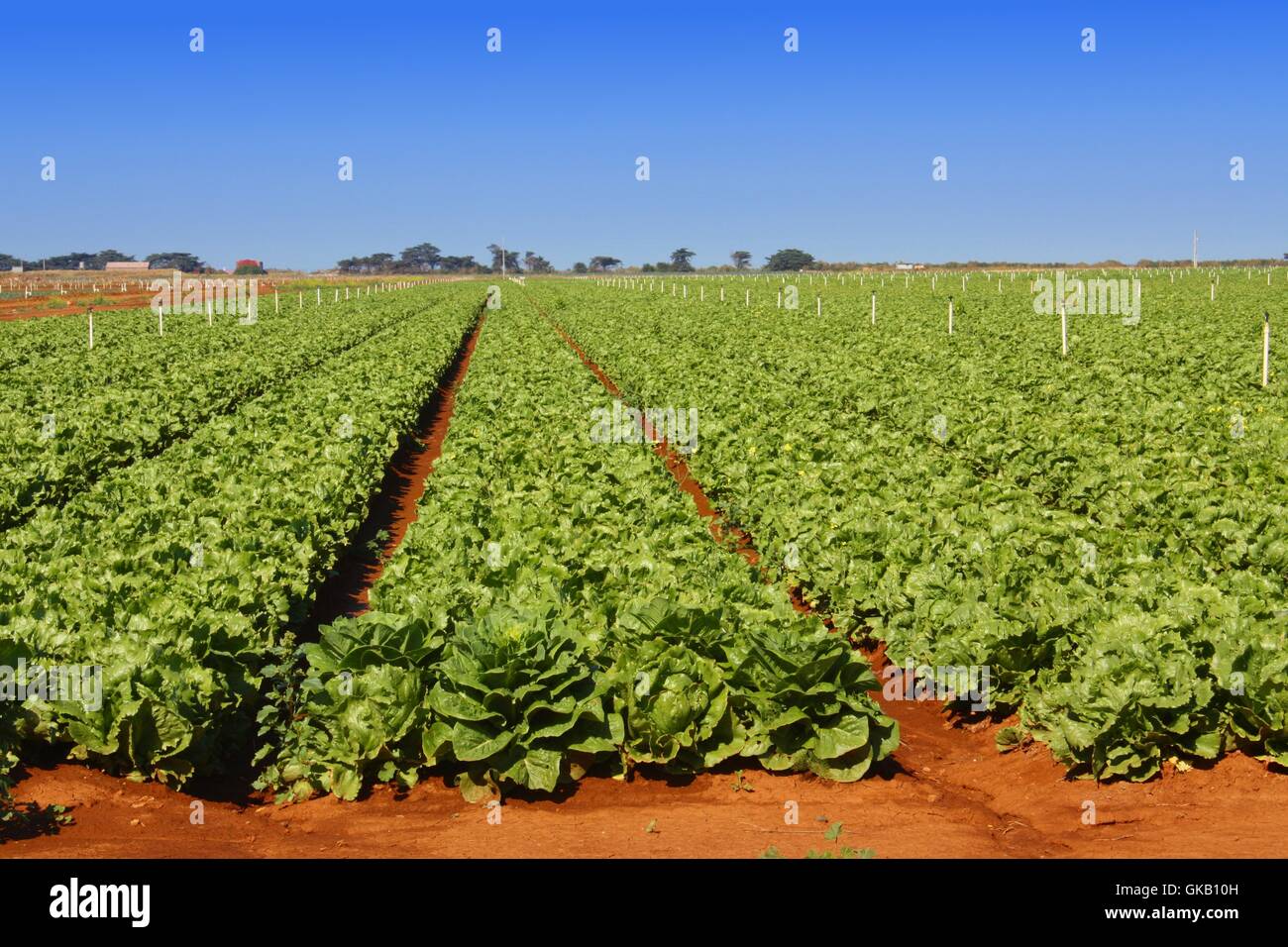 agriculture farming field Stock Photo - Alamy