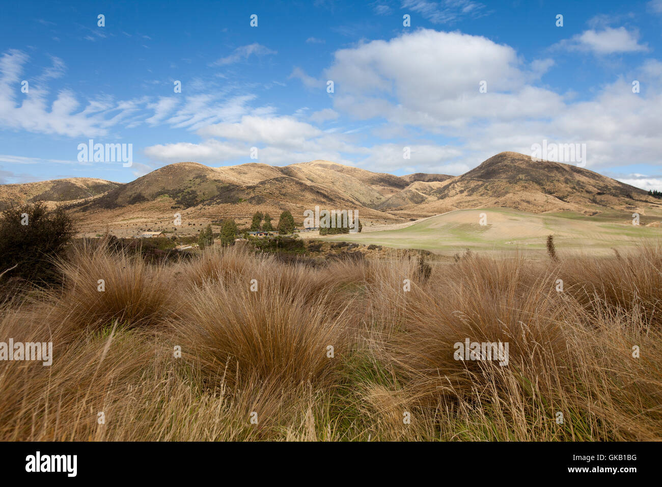 Central otago scenery hi-res stock photography and images - Alamy