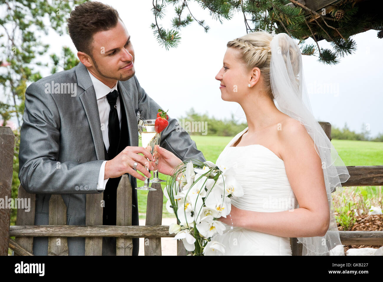 bride and groom Stock Photo - Alamy