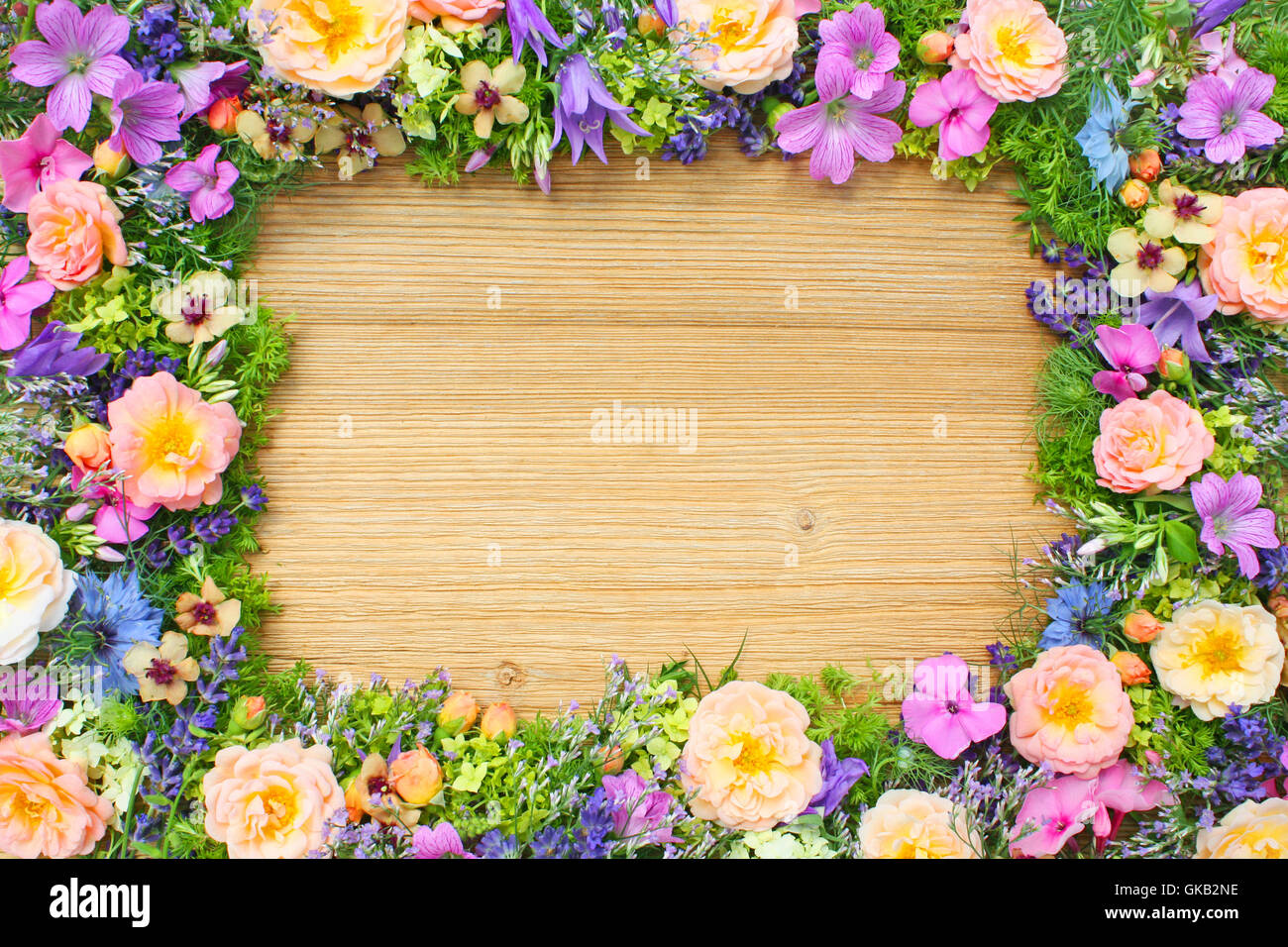 floral frame summer Stock Photo - Alamy