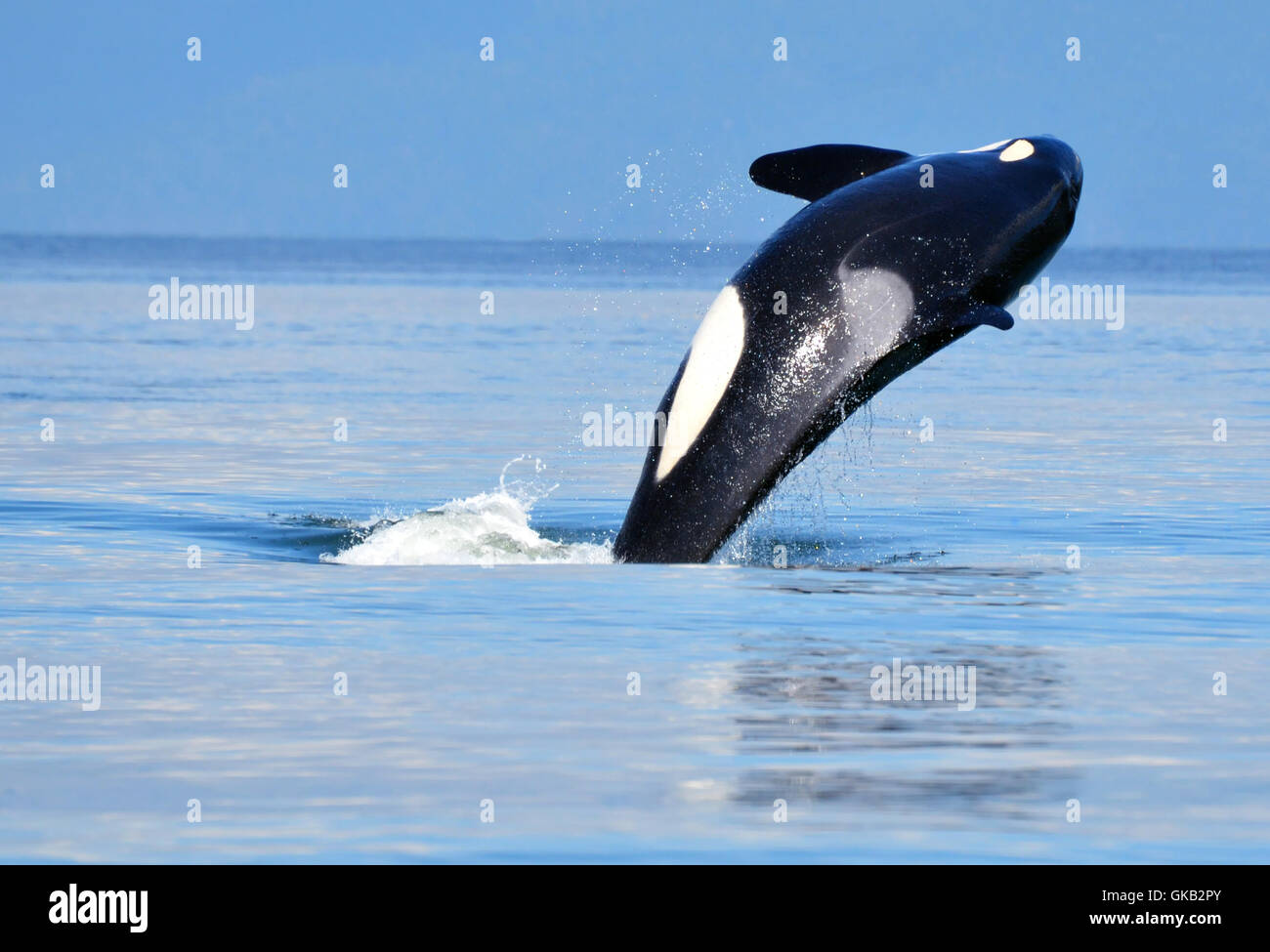 blue big large Stock Photo - Alamy