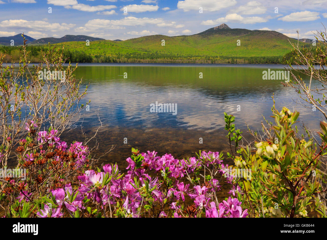 Mt chocorua hi-res stock photography and images - Alamy