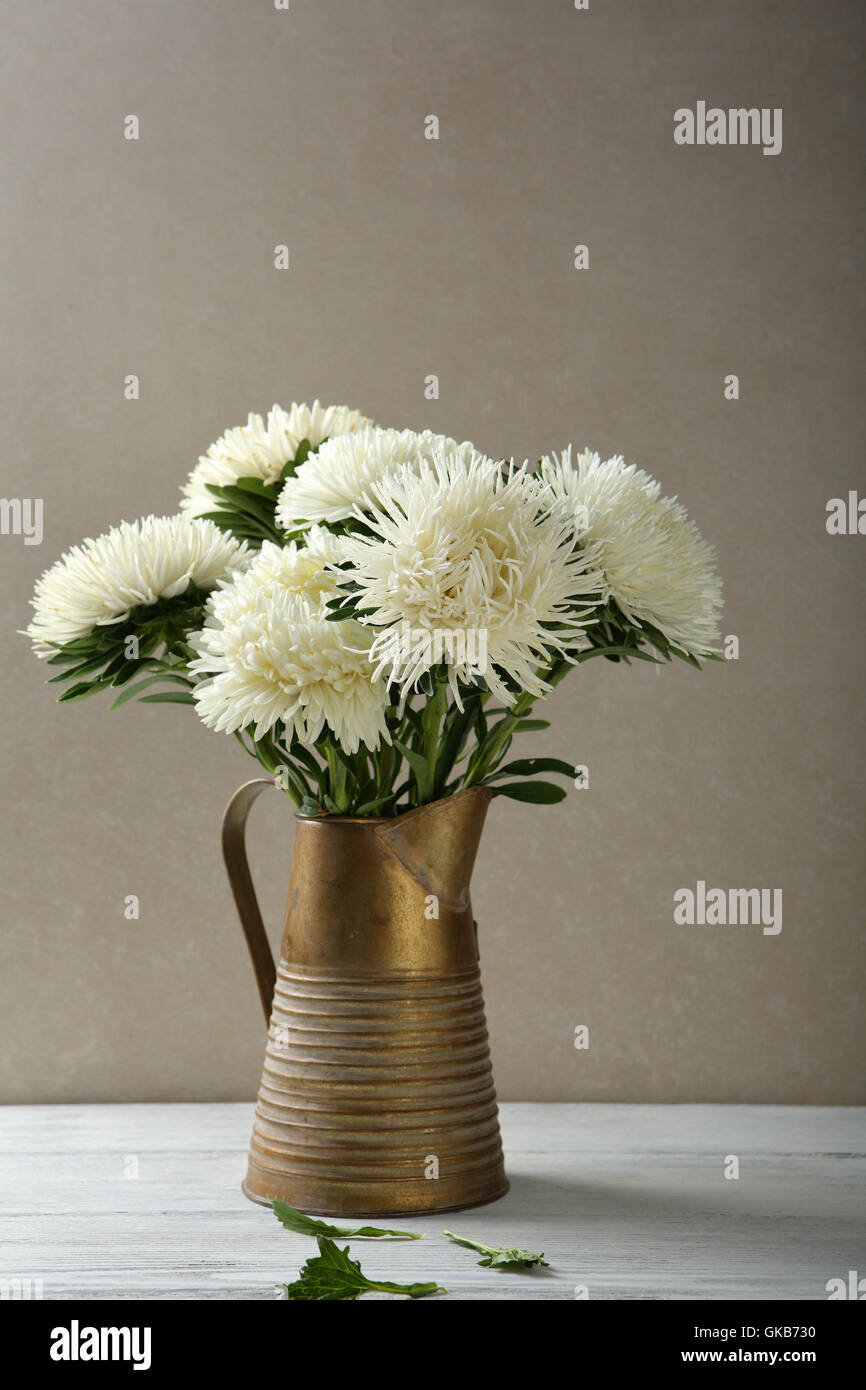 White asters in rustic pitcher, flowers in interior Stock Photo - Alamy
