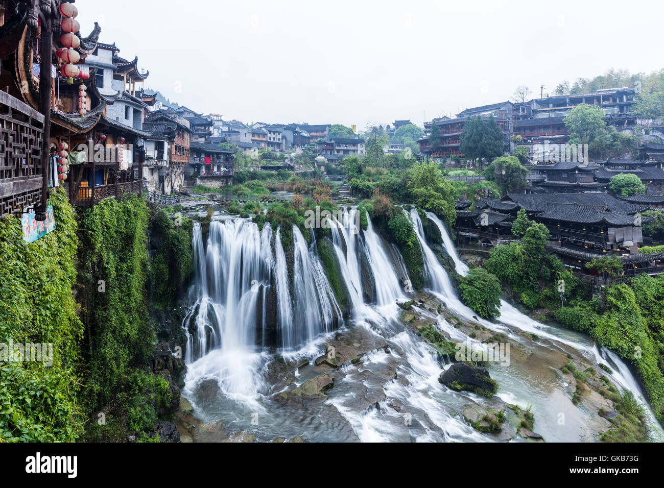 Hibiscus (Hibiscus) Ancient Chinese village in Hunan Province Stock ...