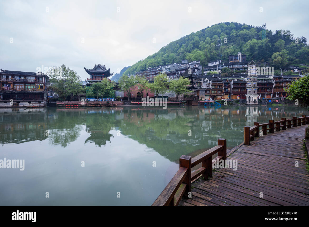 Hibiscus (Hibiscus) Ancient Chinese village in Hunan Province Stock ...
