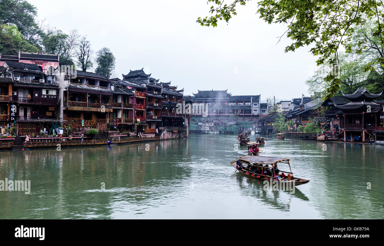 Hibiscus (Hibiscus) Ancient Chinese village in Hunan Province Stock ...
