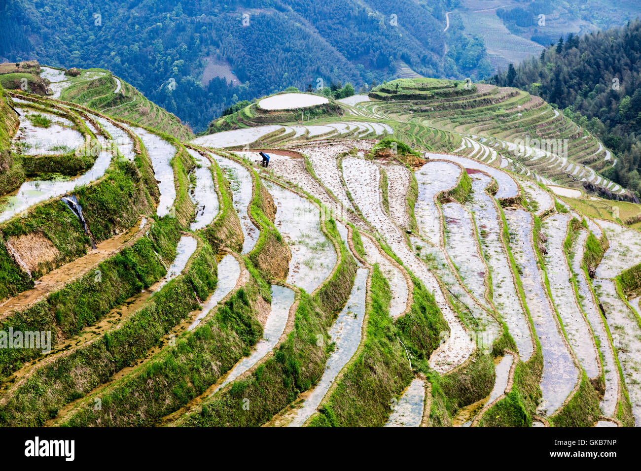 Terraced Fields viewed from the 2000 level to the number of viewpoints ...