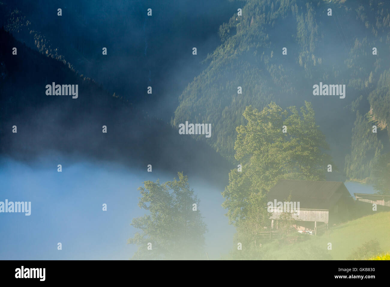 House mist trees hi-res stock photography and images - Alamy