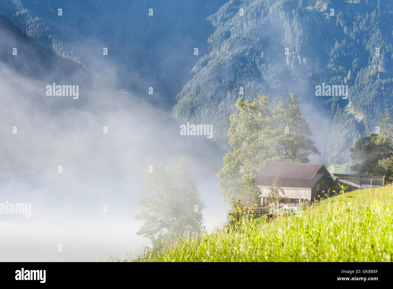 Mist house hi-res stock photography and images - Alamy