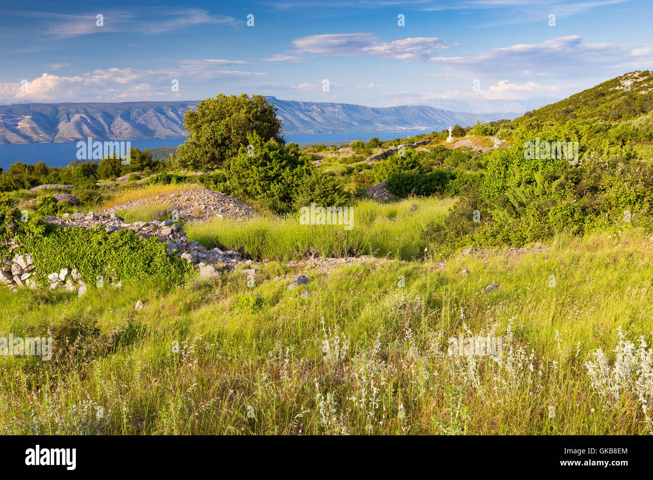 Countryside with Mediterranean vegetation, grassland, trees in the ...