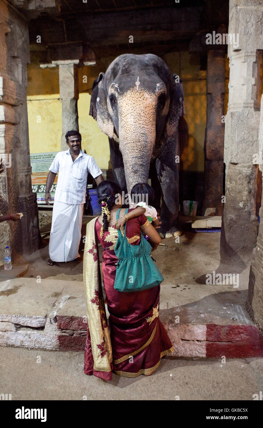 Pilgrims looking at Rock Fort Temple- elephant in Tiruchirapalli ...
