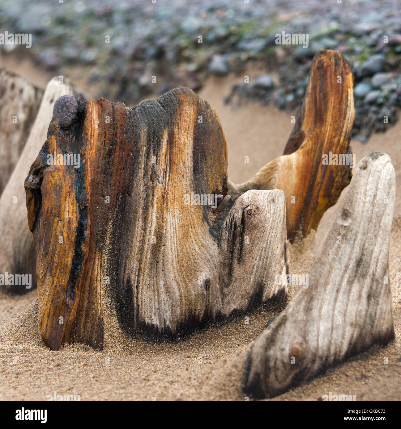 Remains of a weathered groyne on the beach at Dunster in Somerset Stock ...