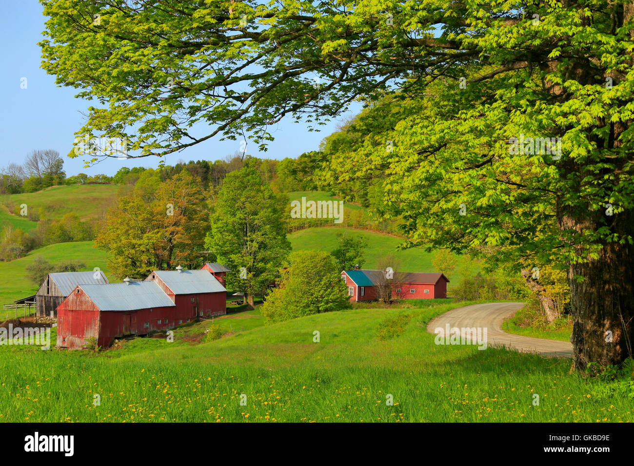 Jenne Farm In Spring, South Woodstock, Vermont Stock Photo - Alamy