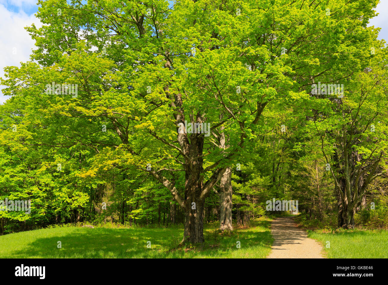 Mount Tom Road, Marsh-Billings-Rockefeller National Historical Park ...