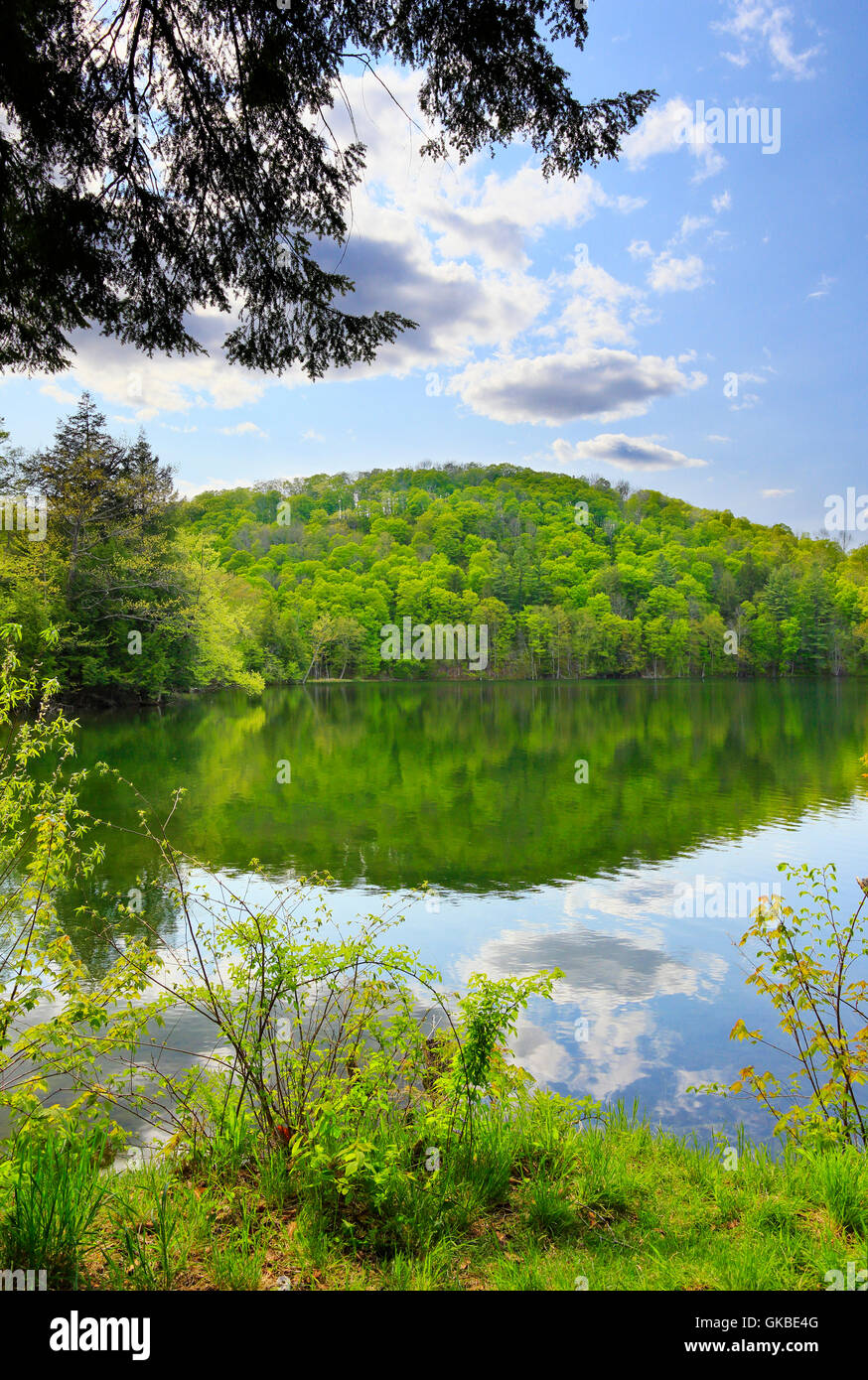 The Pogue, Marsh-Billings-Rockefeller National Historical Park ...