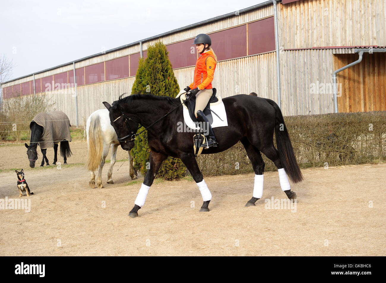 Nora huetz and tobias licht hi-res stock photography and images - Alamy