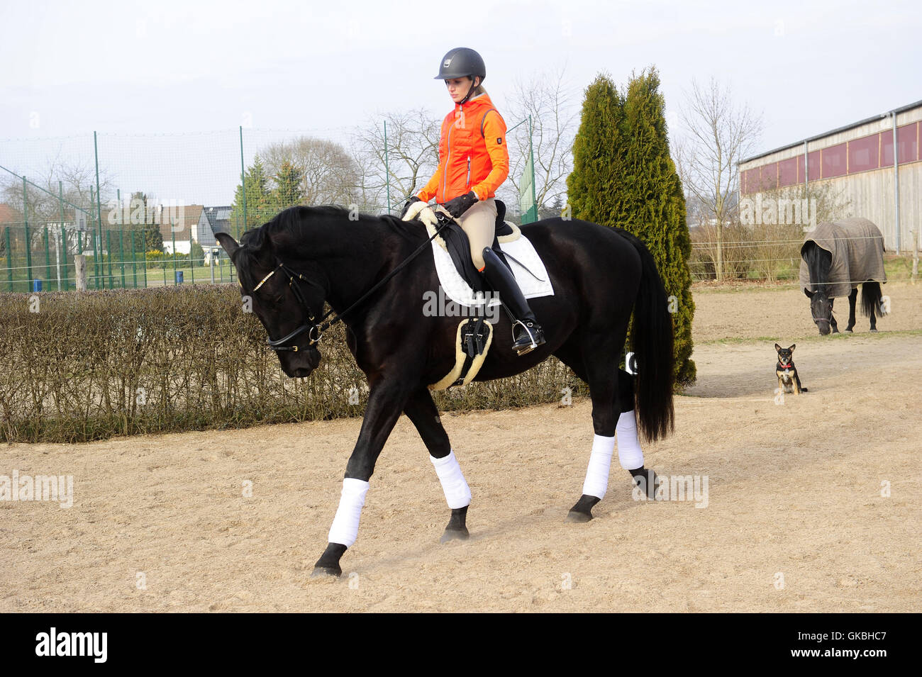Nora huetz and tobias licht hi-res stock photography and images - Alamy