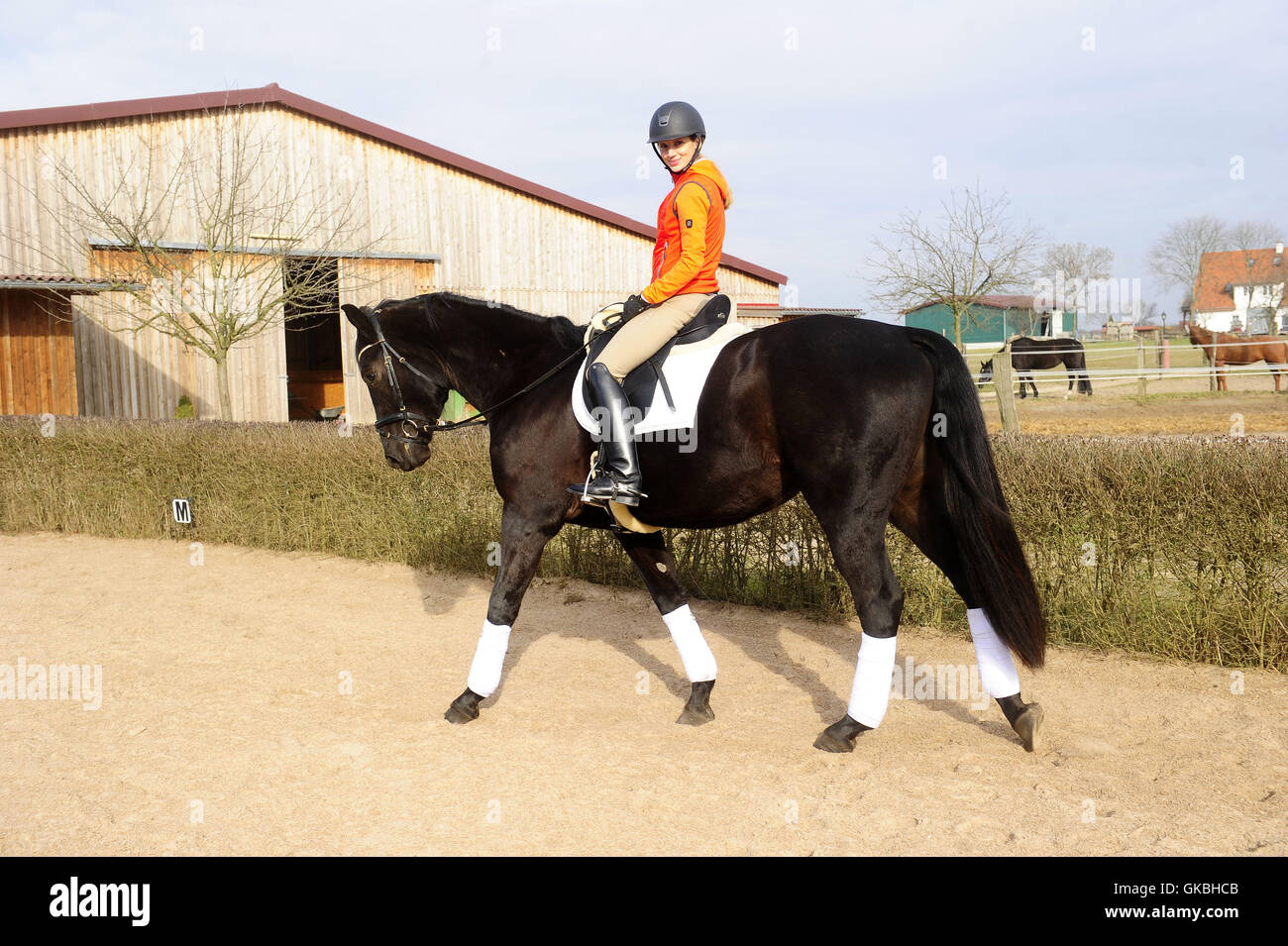 German actors Nora Huetz and Tobias Licht at the equestrian farm ...