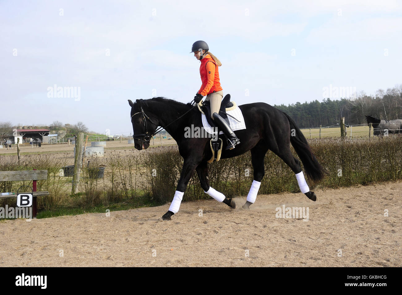Nora huetz and tobias licht hi-res stock photography and images - Alamy