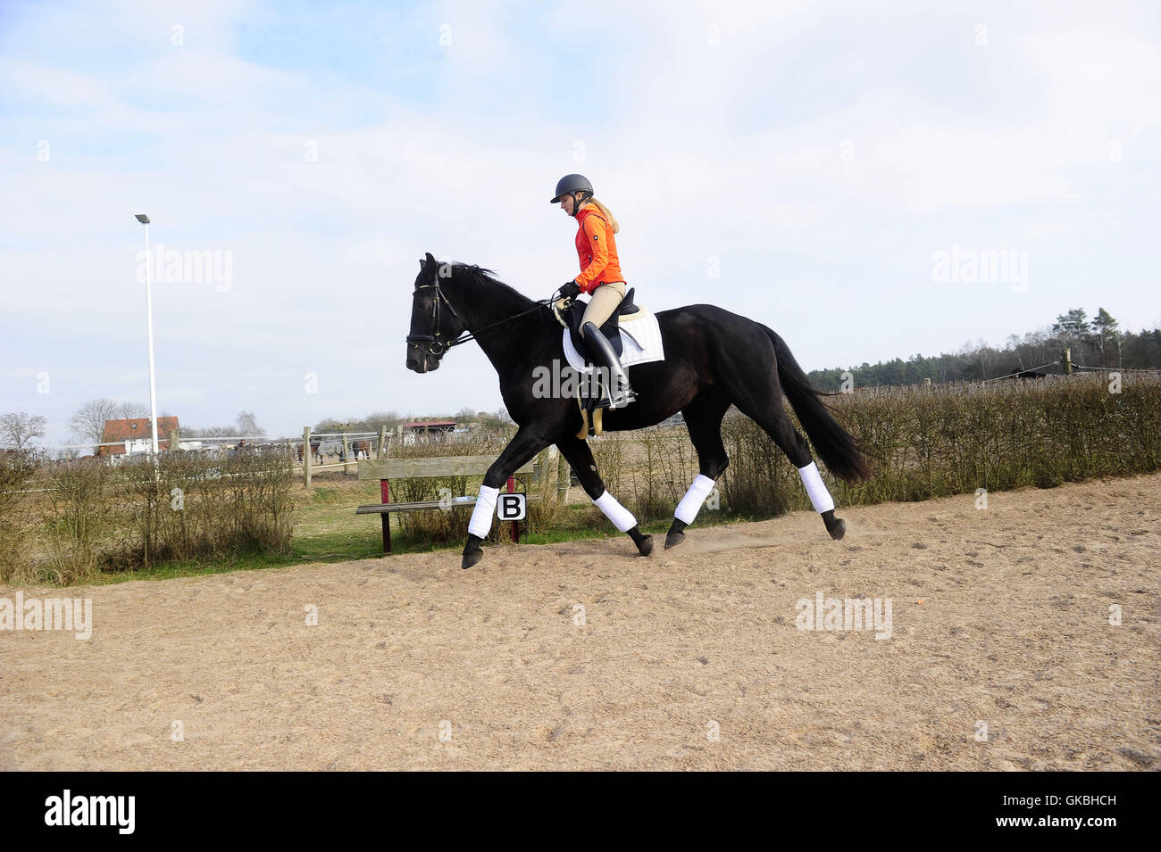 German nora huetz tobias licht hi-res stock photography and images - Alamy