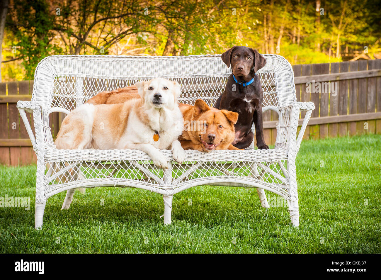 Camera several hi-res stock photography and images - Alamy