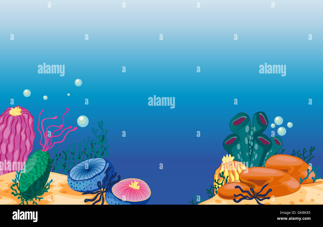 Sea sponge cartoon hi-res stock photography and images - Alamy