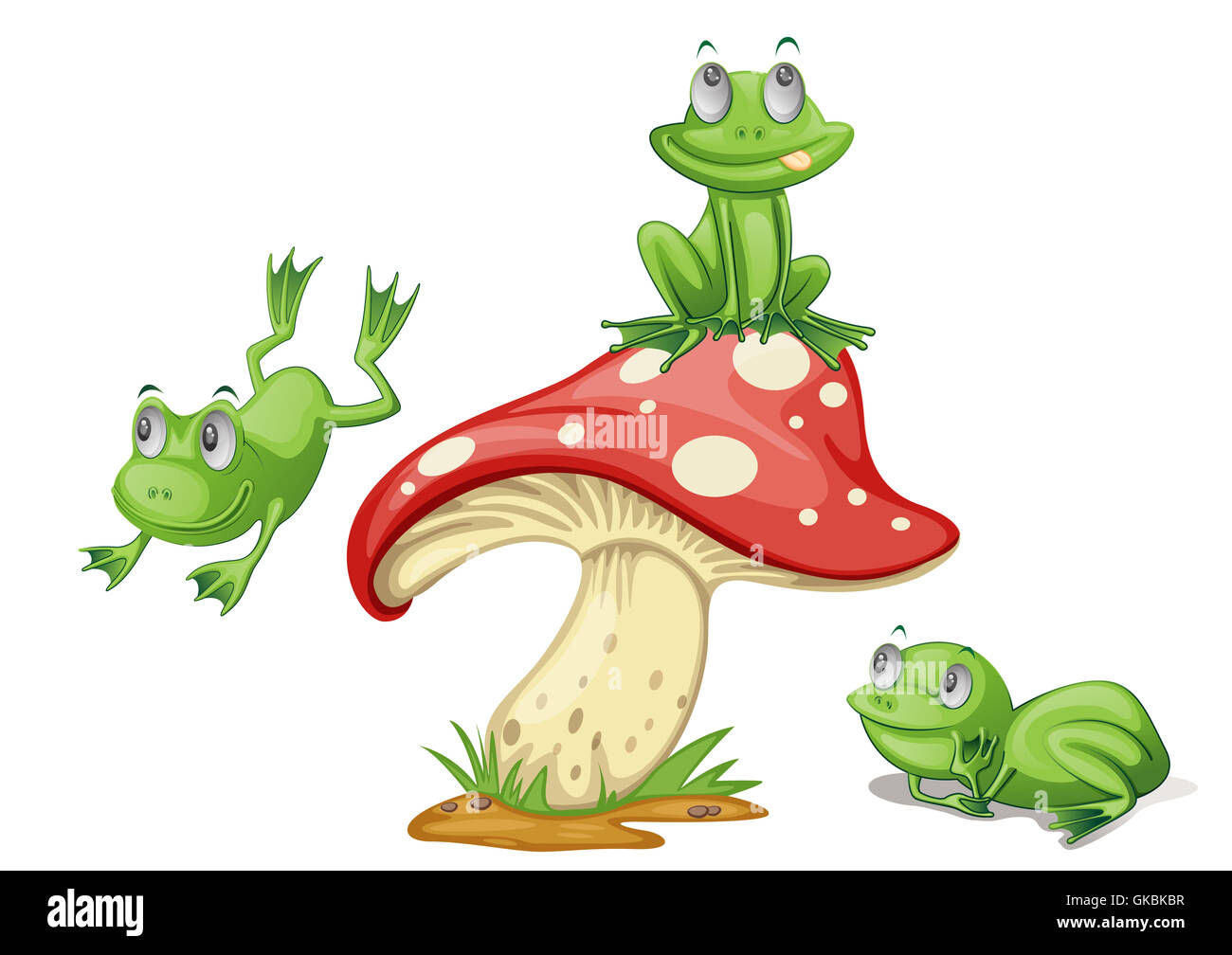 Toadstool Frog High Resolution Stock Photography and Images - Alamy
