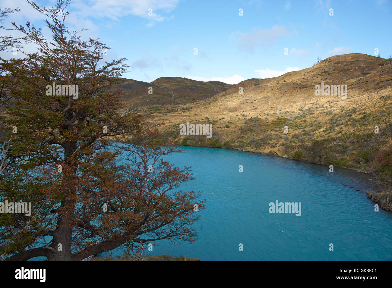 Autumn in Patagonia Stock Photo - Alamy