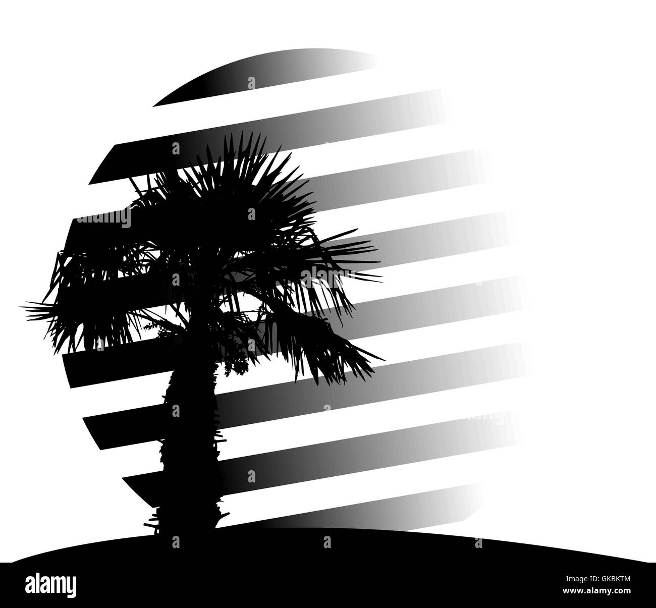 Palmtree silhouette Black and White Stock Photos & Images - Alamy