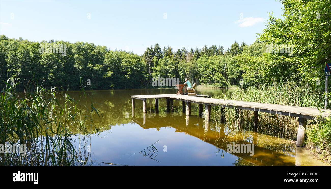 A highlight for tourists is the" Strelitz Seenplatte" as part of the ...