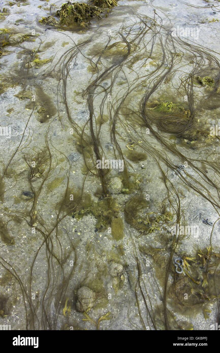 S rope hi-res stock photography and images - Alamy