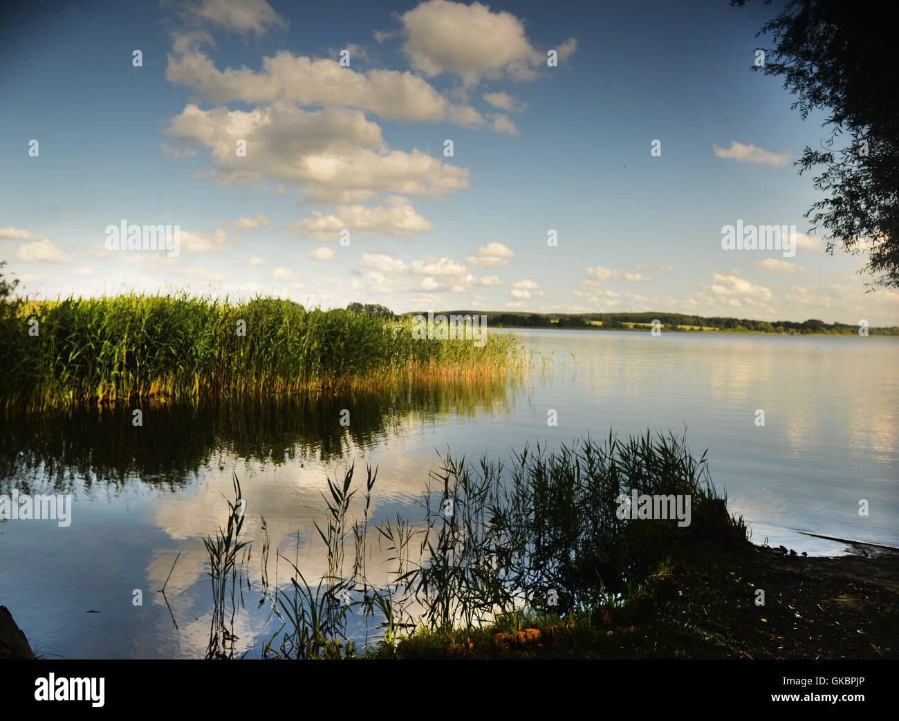 A highlight for tourists is the" Strelitz Seenplatte" as part of the ...
