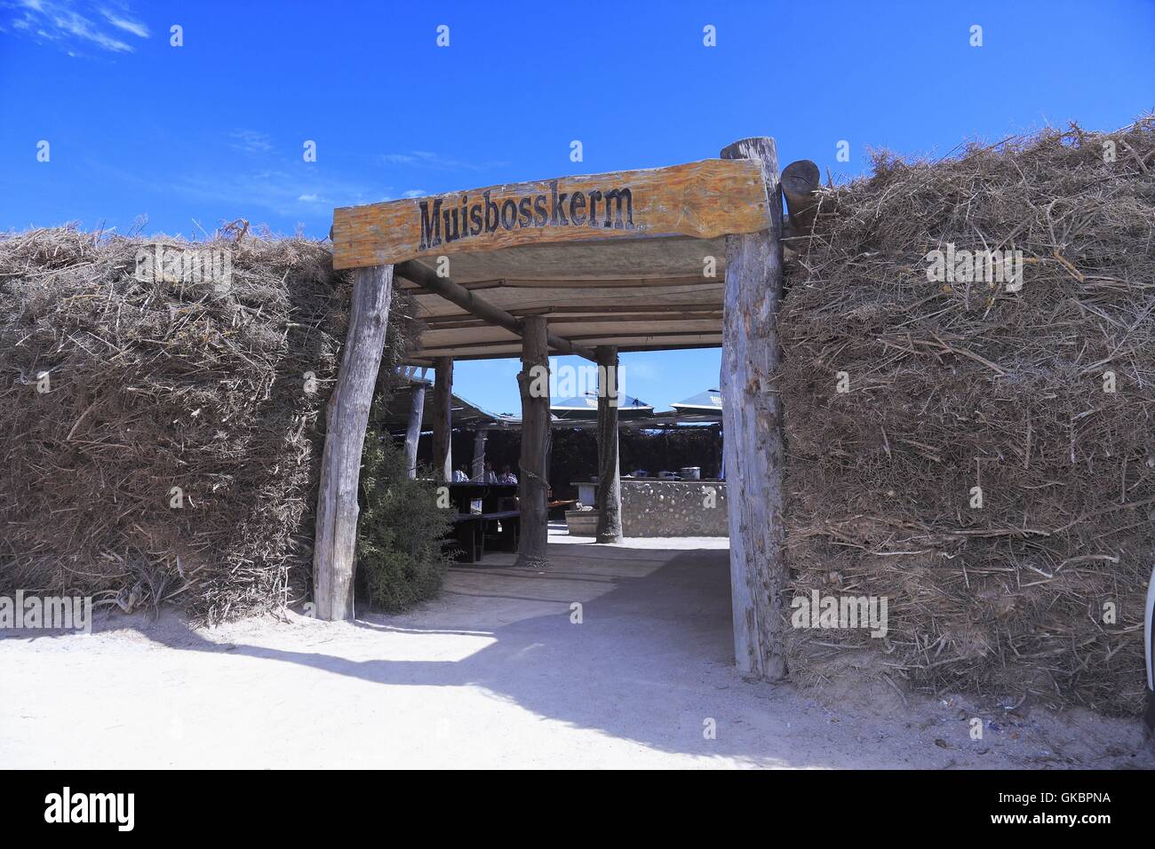 Muisbosskerm south africa hi-res stock photography and images - Alamy