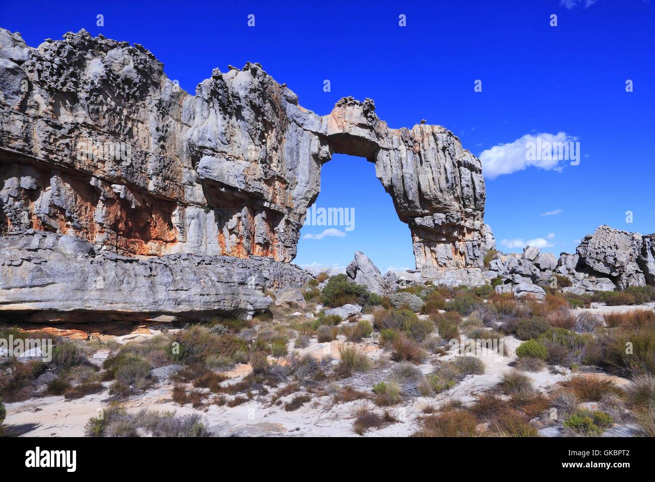 Wolfberg hi-res stock photography and images - Alamy