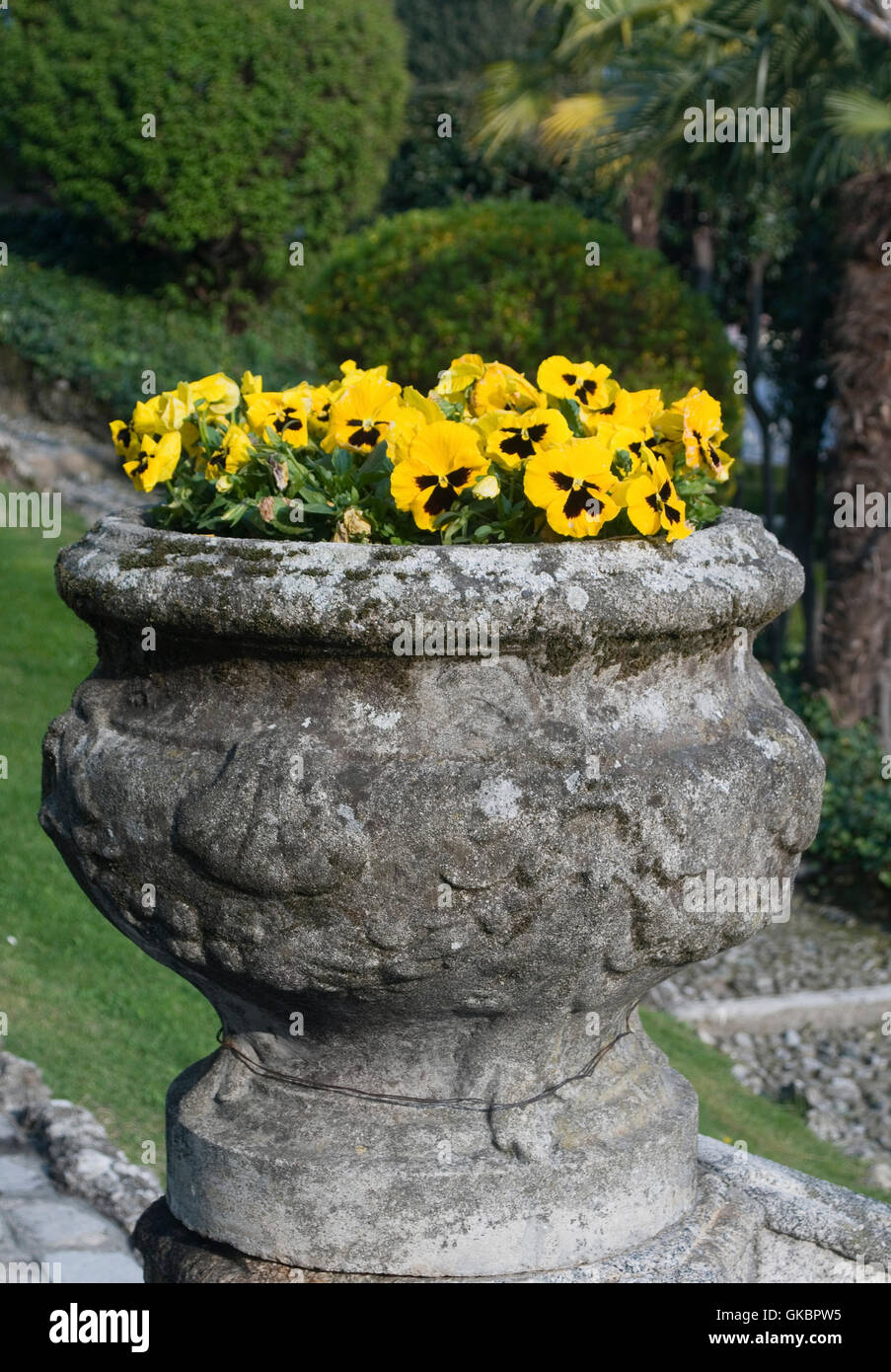 Antique flower pot hi-res stock photography and images - Alamy