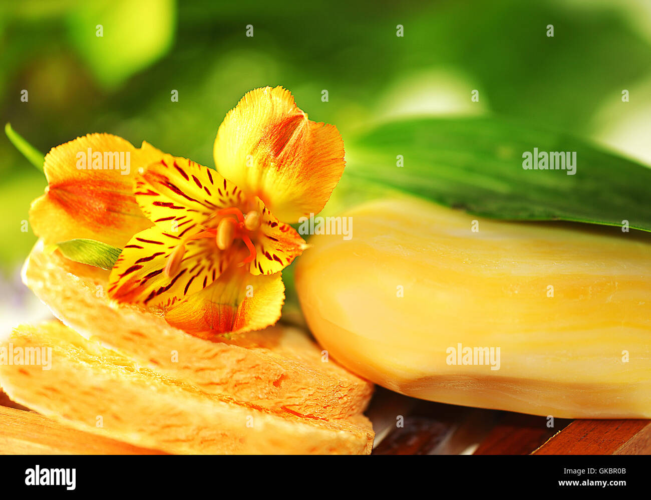 health flower plant Stock Photo - Alamy